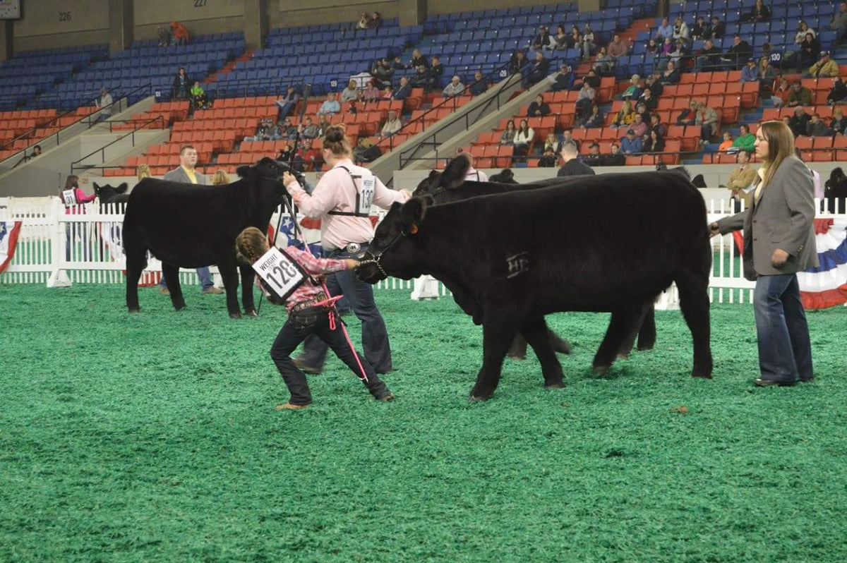 Ode to the Ringman – Weaver Livestock