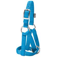 Goat Halter and Leads for Walking - Weaver Livestock
