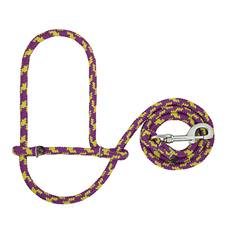 Sheep Halters in Nylon & Rope - Weaver Livestock