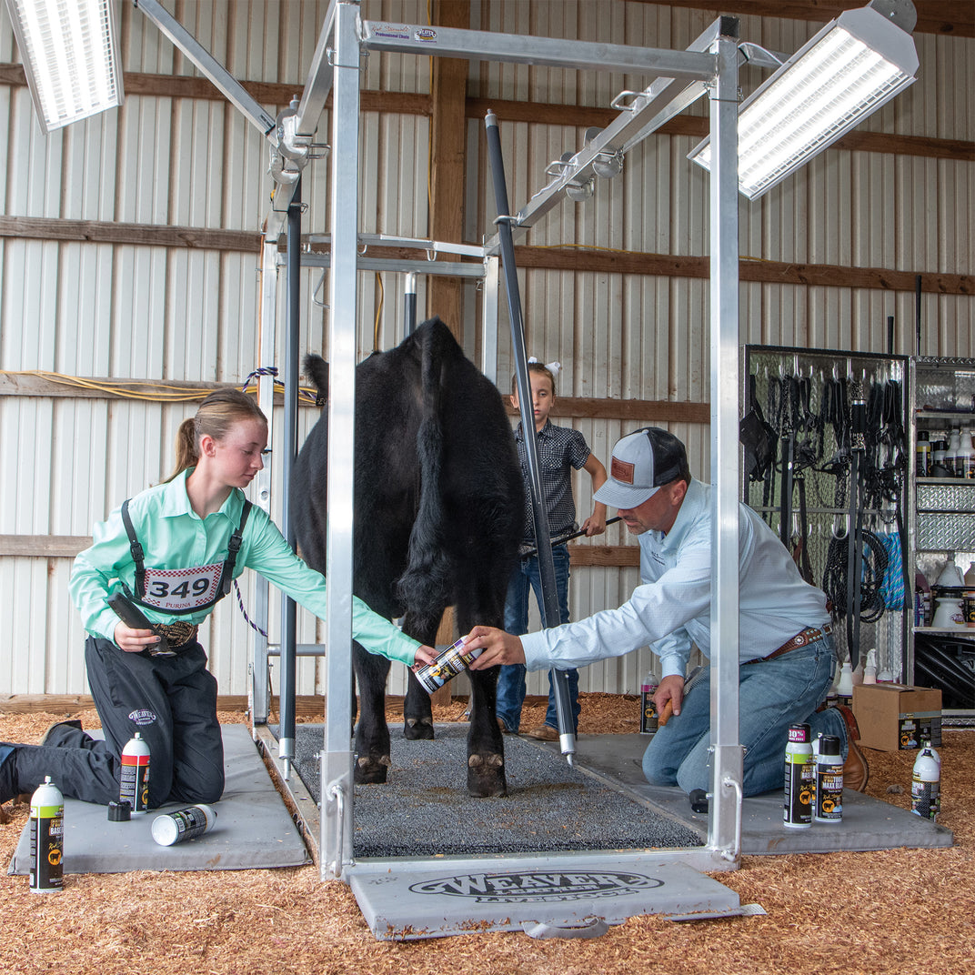 What is a Cattle Chute: A Beginner’s Guide – Weaver Livestock