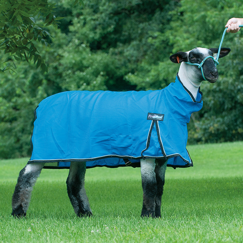 ProCool™ Sheep Blanket with Reflective Piping, Mesh Butt - Weaver Livestock