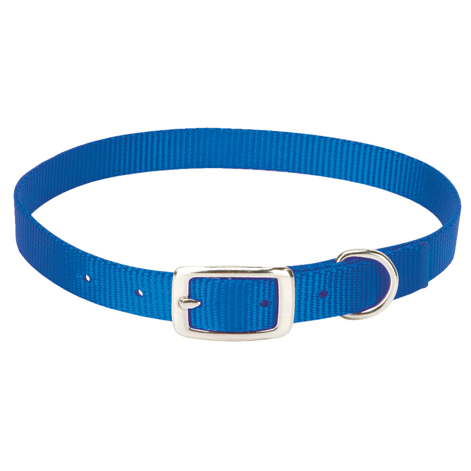 Durable Goat Collars & Leads for Daily Handling and Shows – Weaver ...