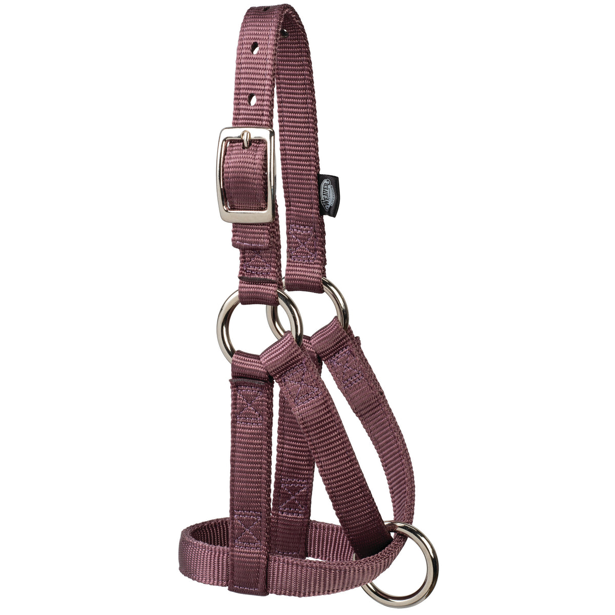 Goat Halter and Leads for Comfortable Walking and Shows – Weaver Livestock