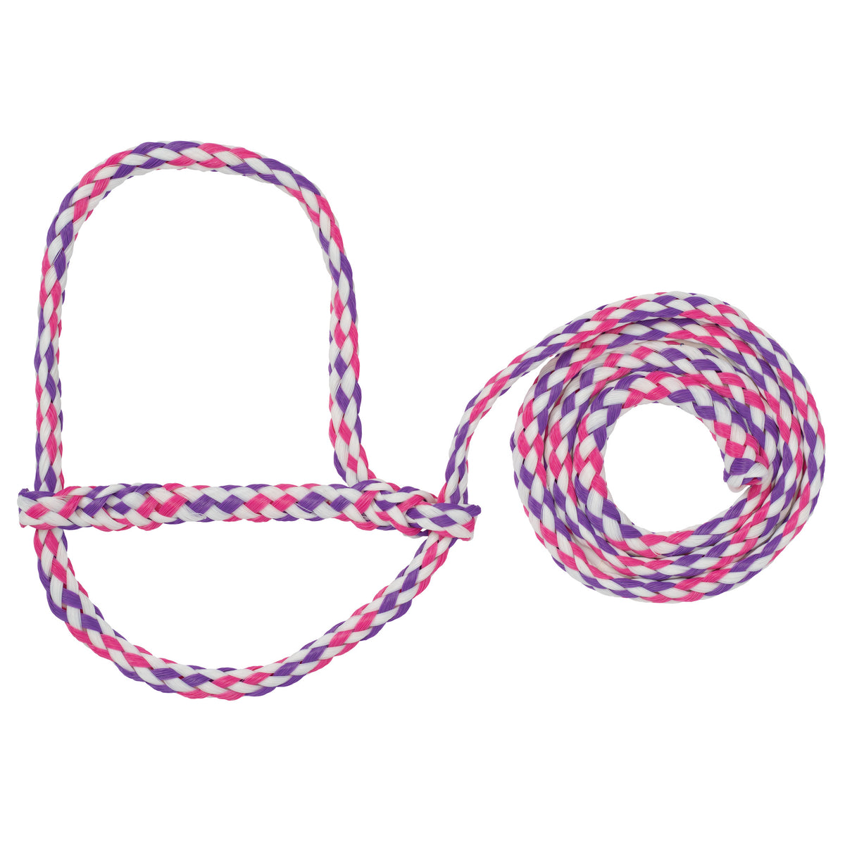 Sheep Halters in Nylon & Rope - Weaver Livestock