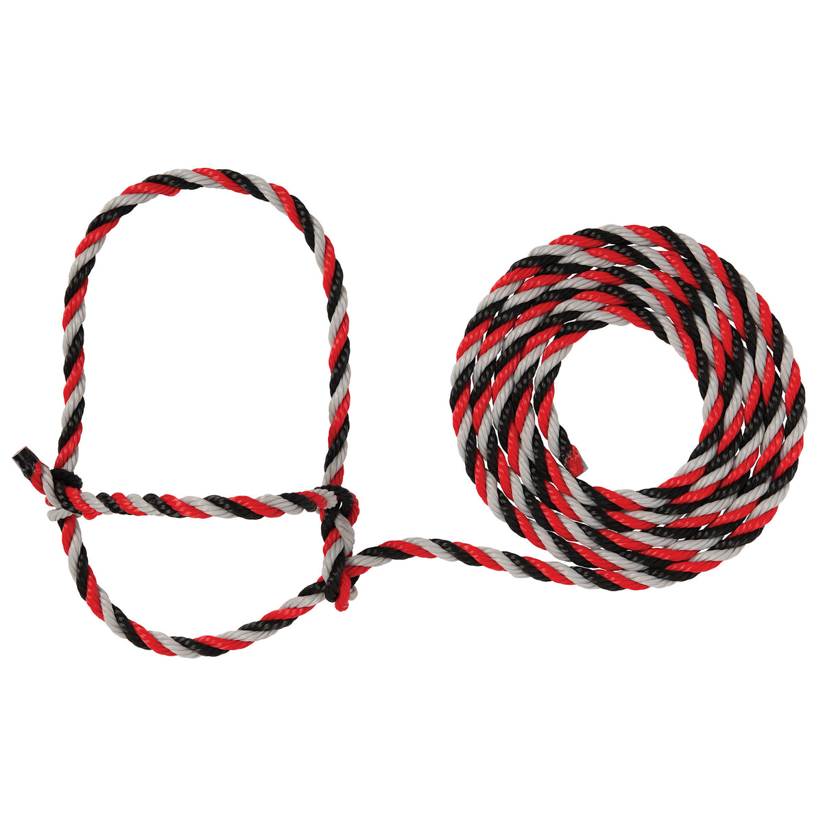 Show Cattle Supplies & Equipment - Weaver Livestock