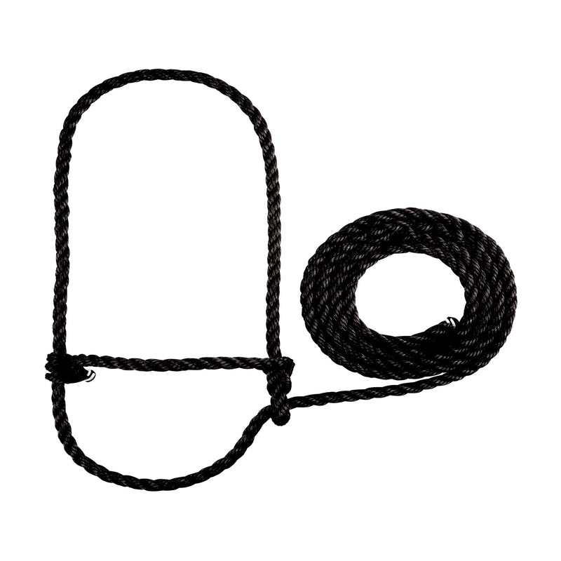 Show Cattle Supplies & Equipment - Weaver Livestock