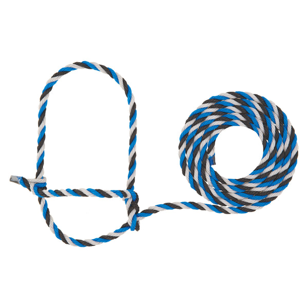 Show Cattle Supplies & Equipment - Weaver Livestock