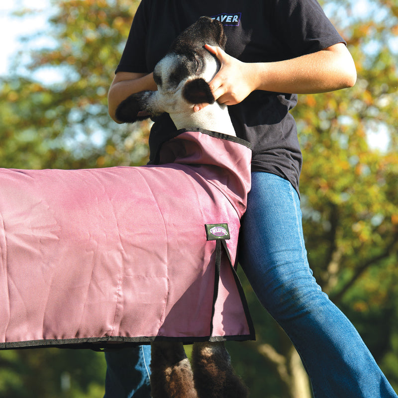 Sheep Blankets, Tubes, and Covers - Weaver Livestock