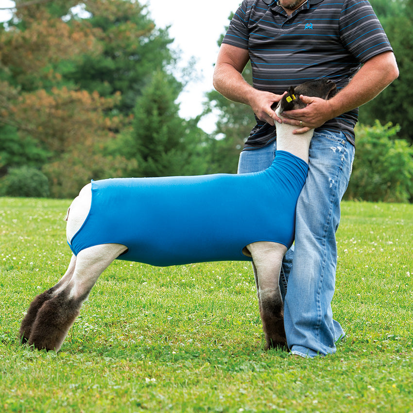 Cotton Lamb Tube - Weaver Livestock