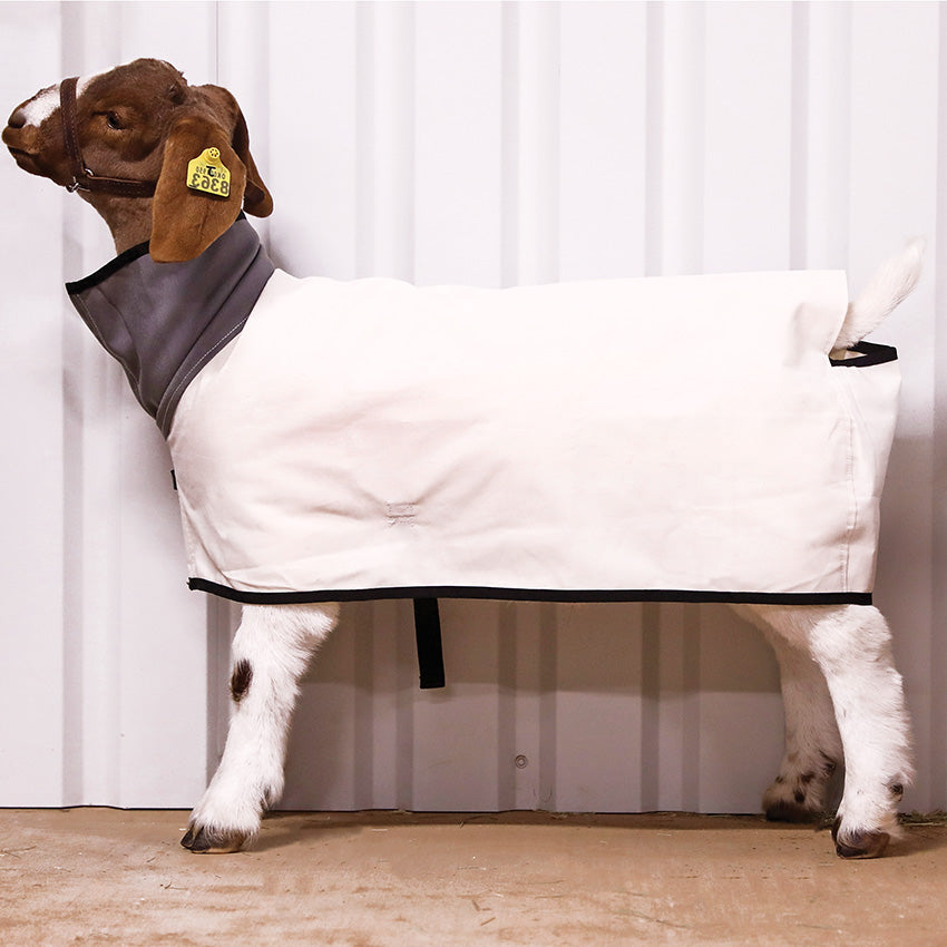 Canvas Goat Blanket - Weaver Livestock