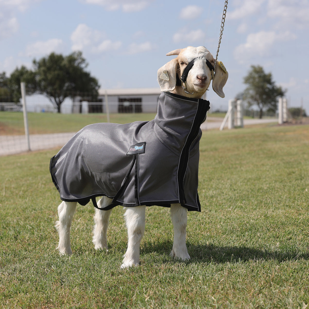 Weaver Show Goat Blankets and Tubes - Weaver Livestock