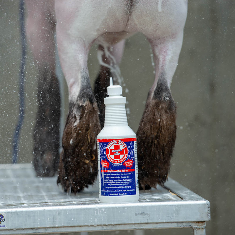 Cattle Shampoos for Show-Quality Coat Care and Cleansing – Weaver Livestock