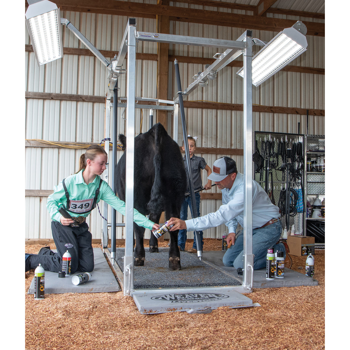 7-1/2' Chute - Weaver Livestock