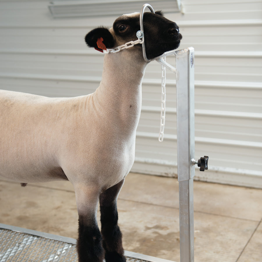 Aluminum Goat & Sheep Trimming Stand - Weaver Livestock