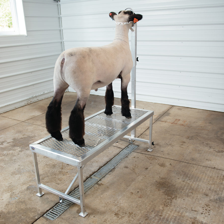 Aluminum Goat & Sheep Trimming Stand - Weaver Livestock