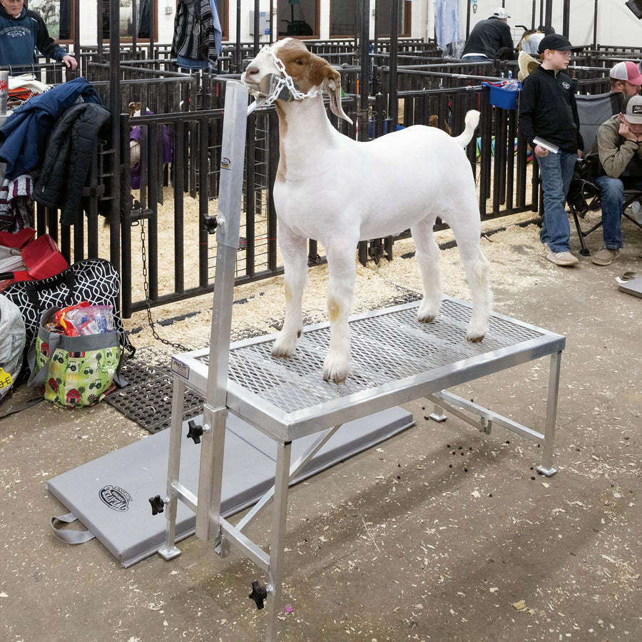 Aluminum Goat & Sheep Trimming Stand - Weaver Livestock
