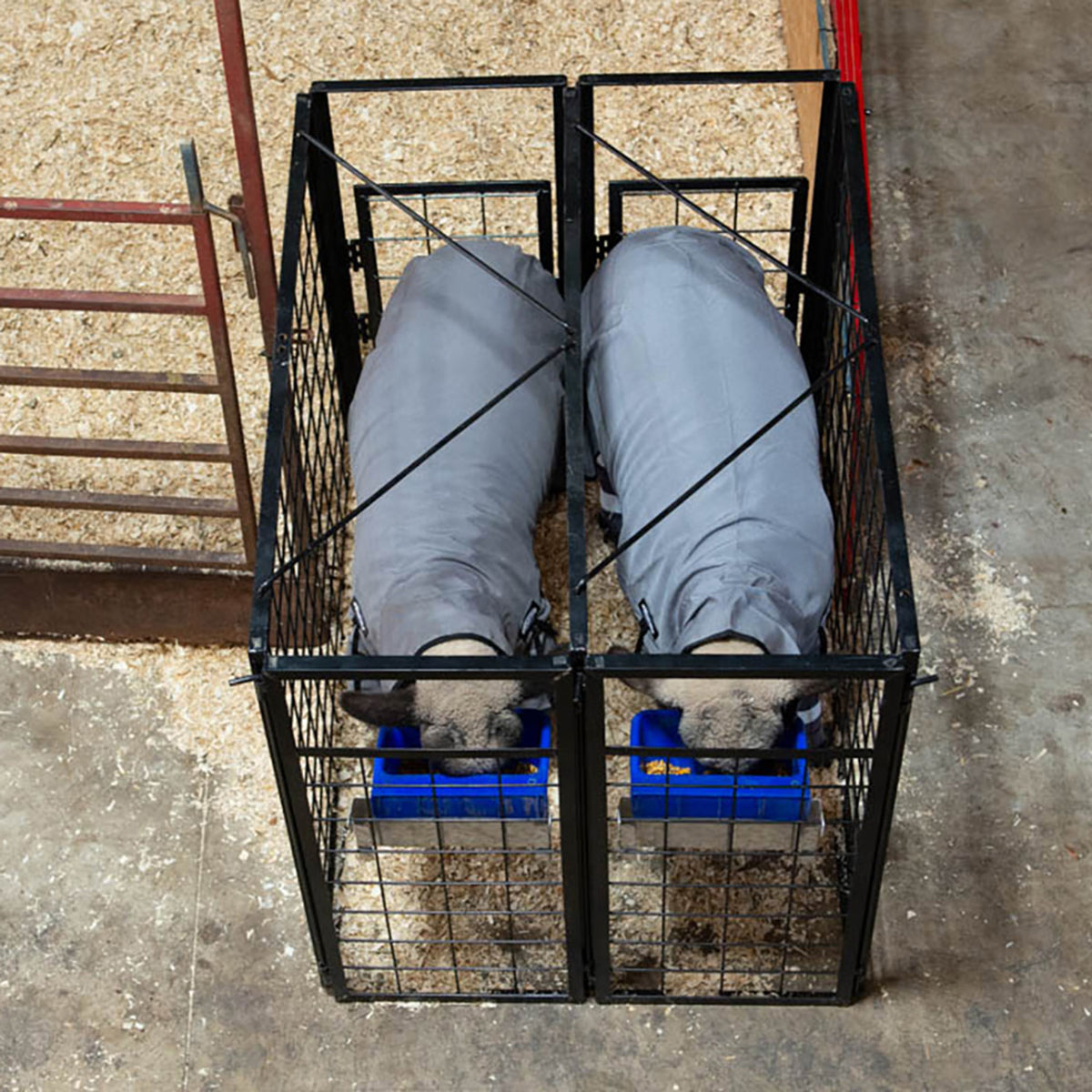 Stall Feeder Complete - Weaver Livestock