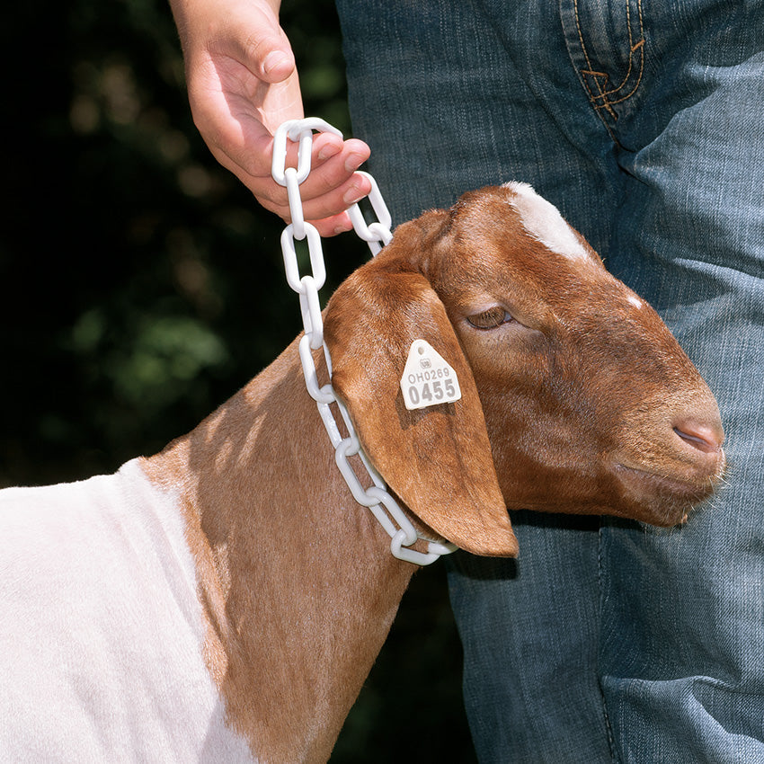 Plastic Goat Chains - Weaver Livestock