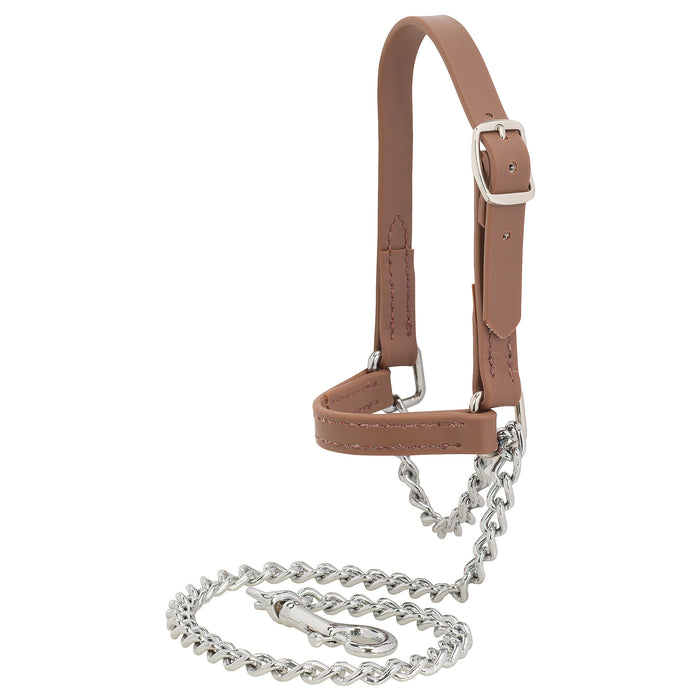 Pro Livestock Halters for Cattle, Sheep, Goats, and Swine – Weaver ...