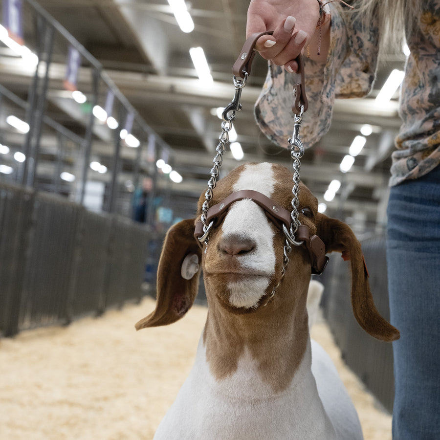 Total Control Goat Halter - Weaver Livestock