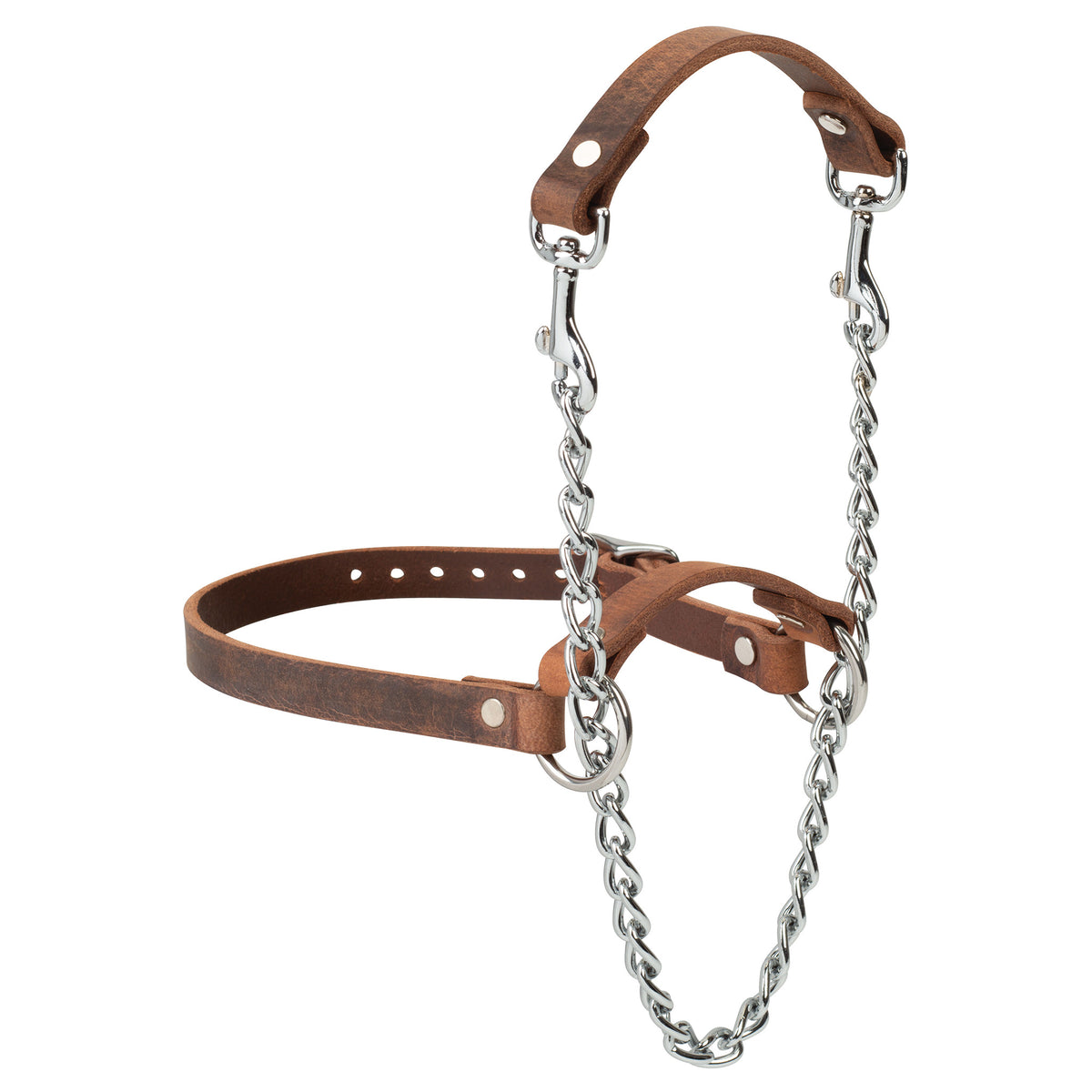 Total Control Leather Goat Halter – Weaver Livestock