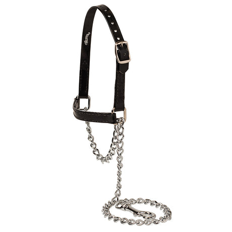 Goat Leather Halters – Weaver Livestock
