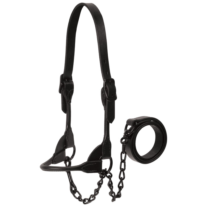 Leather Cattle Show Halters for Performance – Weaver Livestock