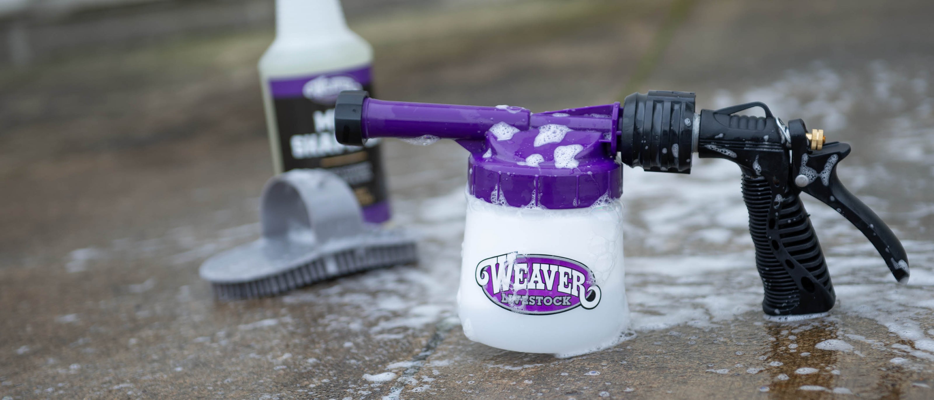 Weaver Livestock - Livestock Show Supplies