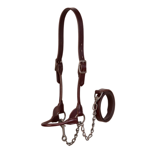 Leather Cattle Show Halters for Performance – Weaver Livestock