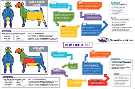 Get Your Free Poster Download! – Weaver Livestock