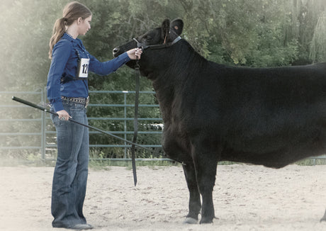 Cattle ProTips – Weaver Livestock