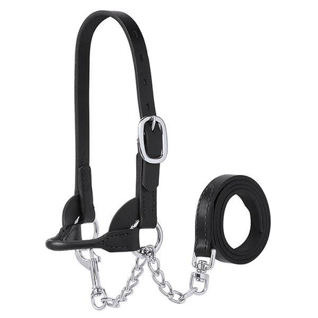 Dairy Leather Halters – Weaver Livestock