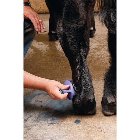 Goat Adhesive Removers – Weaver Livestock