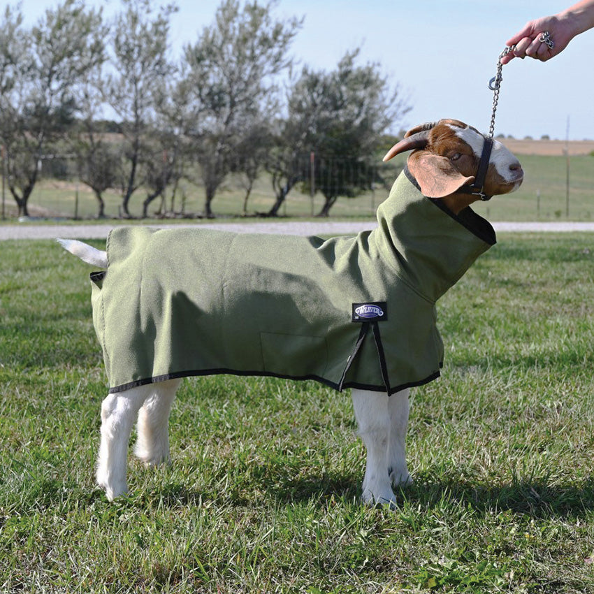 Goat Blanket - Weaver Livestock