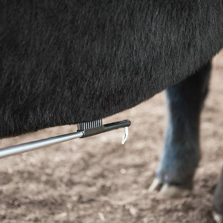 Cattle Show Sticks - Weaver Livestock