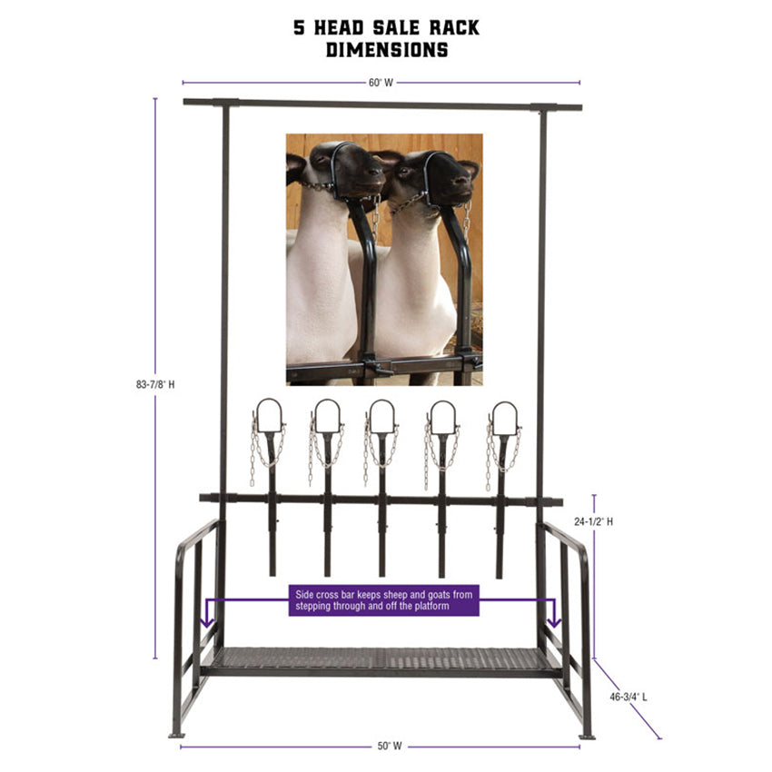 5 Head Sheep & Lamb Sale Rack - Weaver Livestock