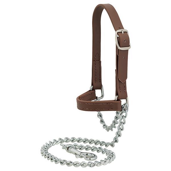 Brahma Webb® Goat Halters - Weaver Livestock
