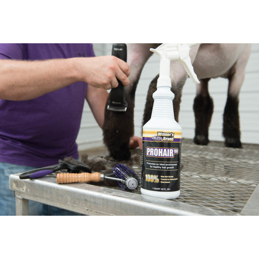 Self-Cleaning Slicker Brush - Weaver Livestock