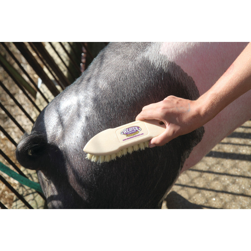 Plastic Tampico Pig Brush - Weaver Livestock